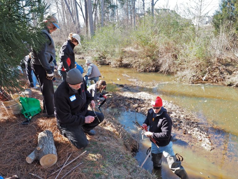 Do You Have a Stream in Your Yard or in Your Neighborhood? | Friends of ...