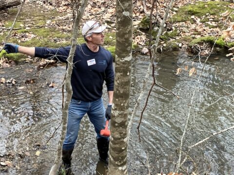 Stream Repair | Friends of Bolin Creek